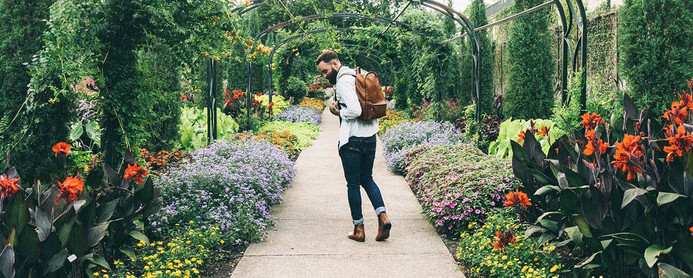 Green Landscape – Green Landscape & Garden shop
